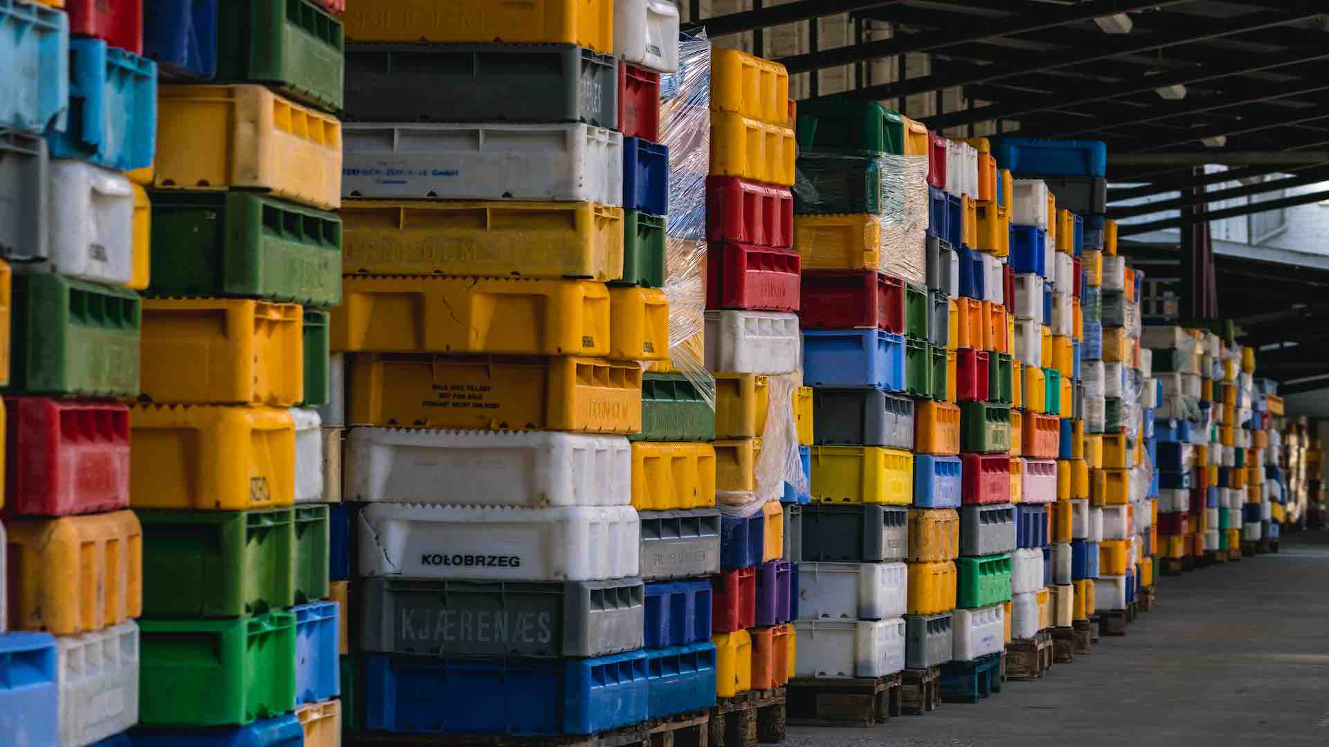 Egypt’s food industry posts record $5.5 billion exports through ...